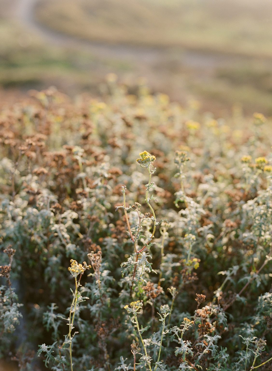 fran + ben | PART ONE: SAN FRANCISCO OCEAN BEACH LAND'S END SUTRO BATHS ...